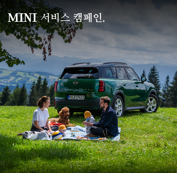 MINI SERVICE CAMPAIGN.