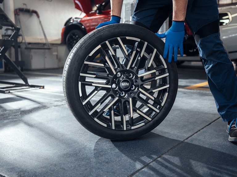 MINI SERVICE CAMPAIGN.