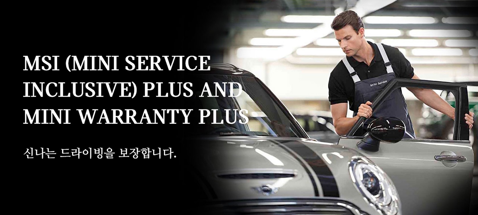 MINI SERVICE PACKAGE